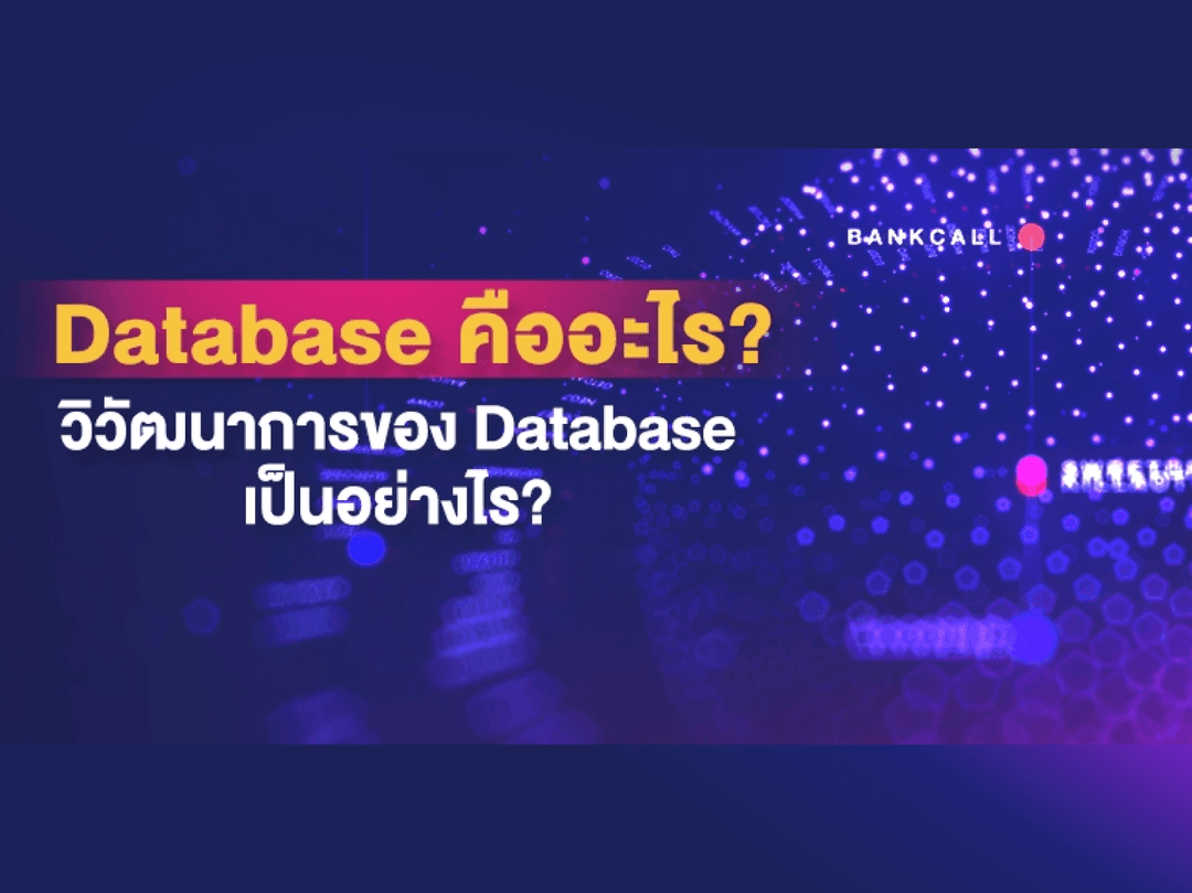 Database คืออะไร? แล้ววิวัฒนาการของ Database เป็นอย่างไร?